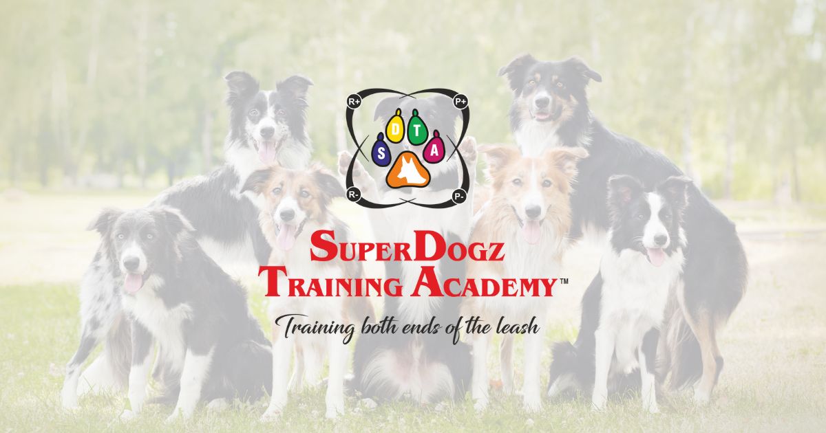 SuperDogz Training Academy